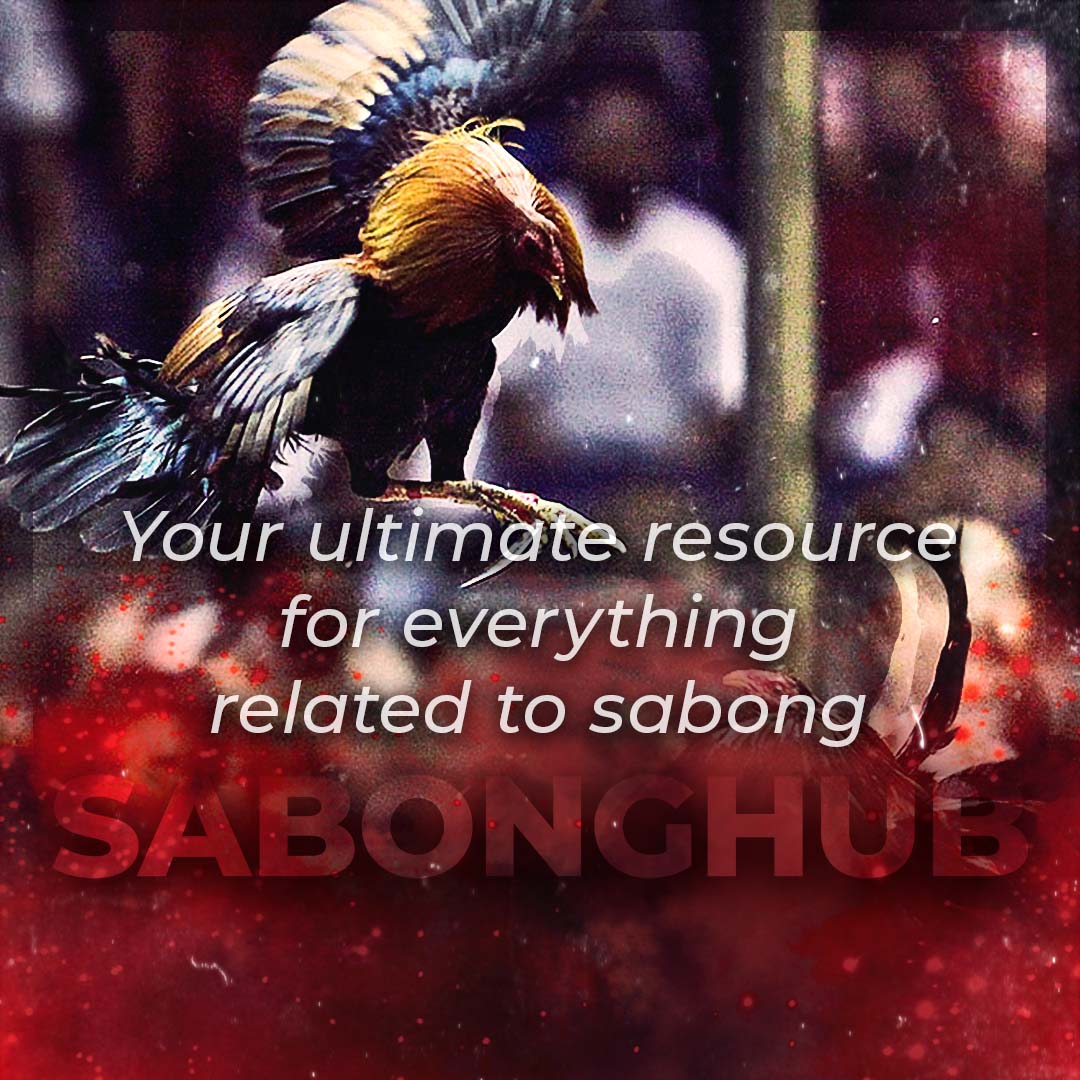 SabongHUB: Your Ultimate Guide to Online Sabong in Philippines